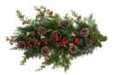 Holiday Decorations - Evergreens - Organic Plant Care LLC