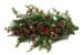 Holiday Decorations - Evergreens - Organic Plant Care LLC